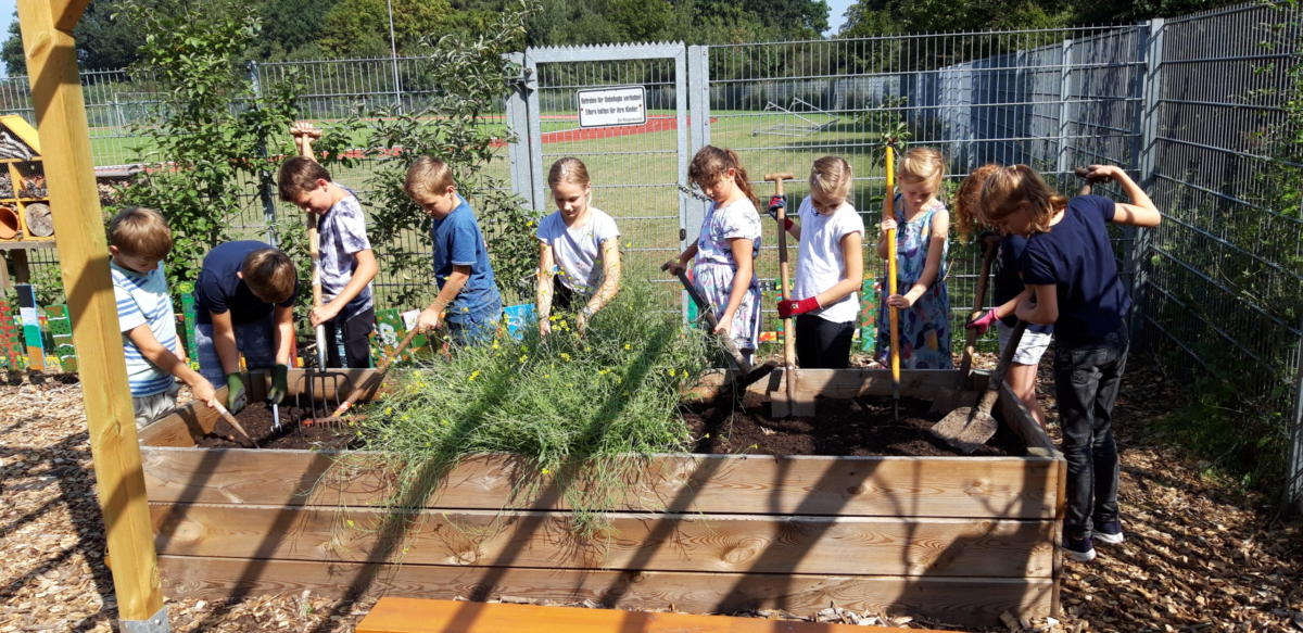 Schulgarten – Grundschule Molbergen Schulgarten – Grundschule Molbergen